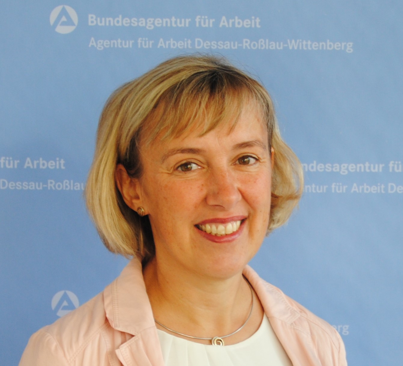 Gymnasium Francisceum Zerbst | Bundesagentur für Arbeit